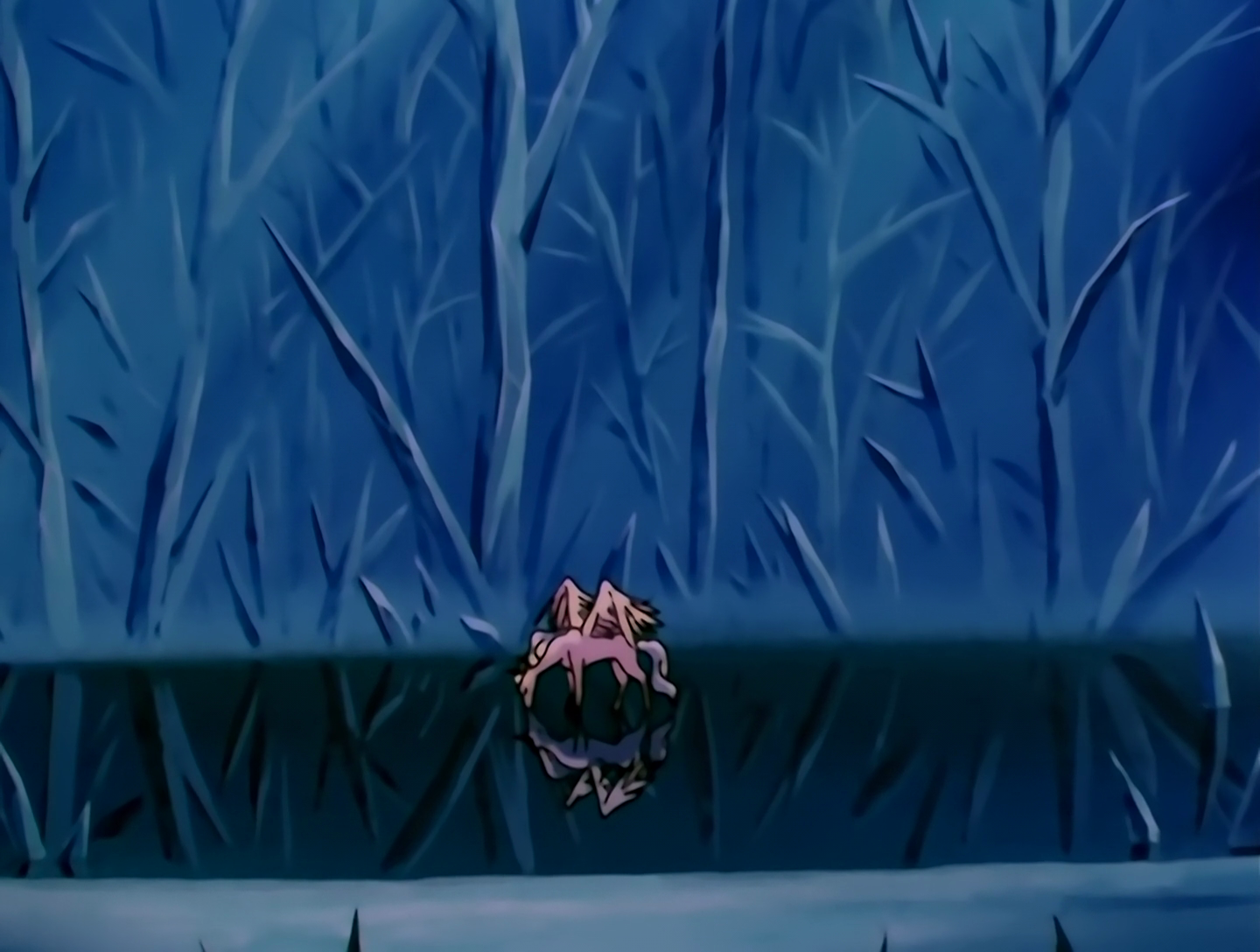 Moonlight Densetsu (Episodes 128-149) [1080p] - SailorSoapbox.com