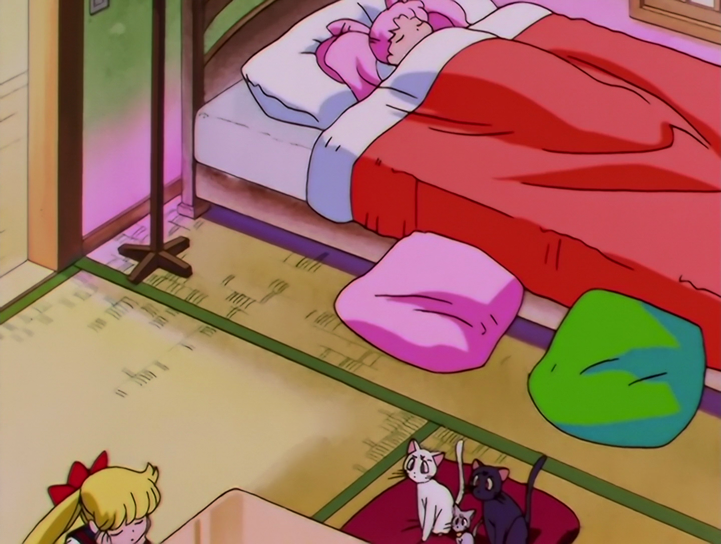 Screenshots: Sailor Stars Episode 170 - SailorSoapbox.com