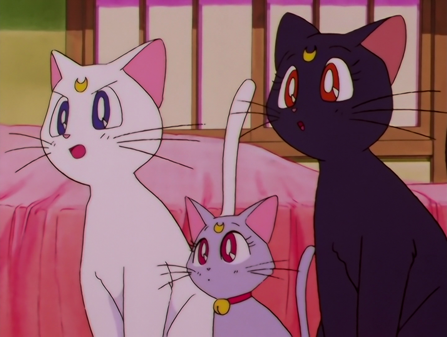 Screenshots: Sailor Stars Episode 170 - SailorSoapbox.com