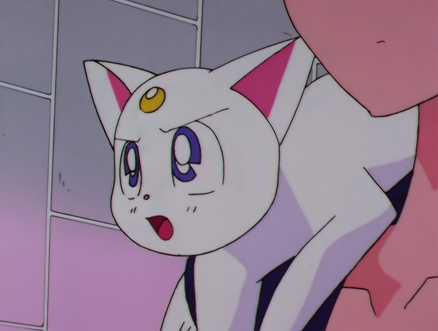 Screenshots: Sailor Stars Episode 178 - SailorSoapbox.com