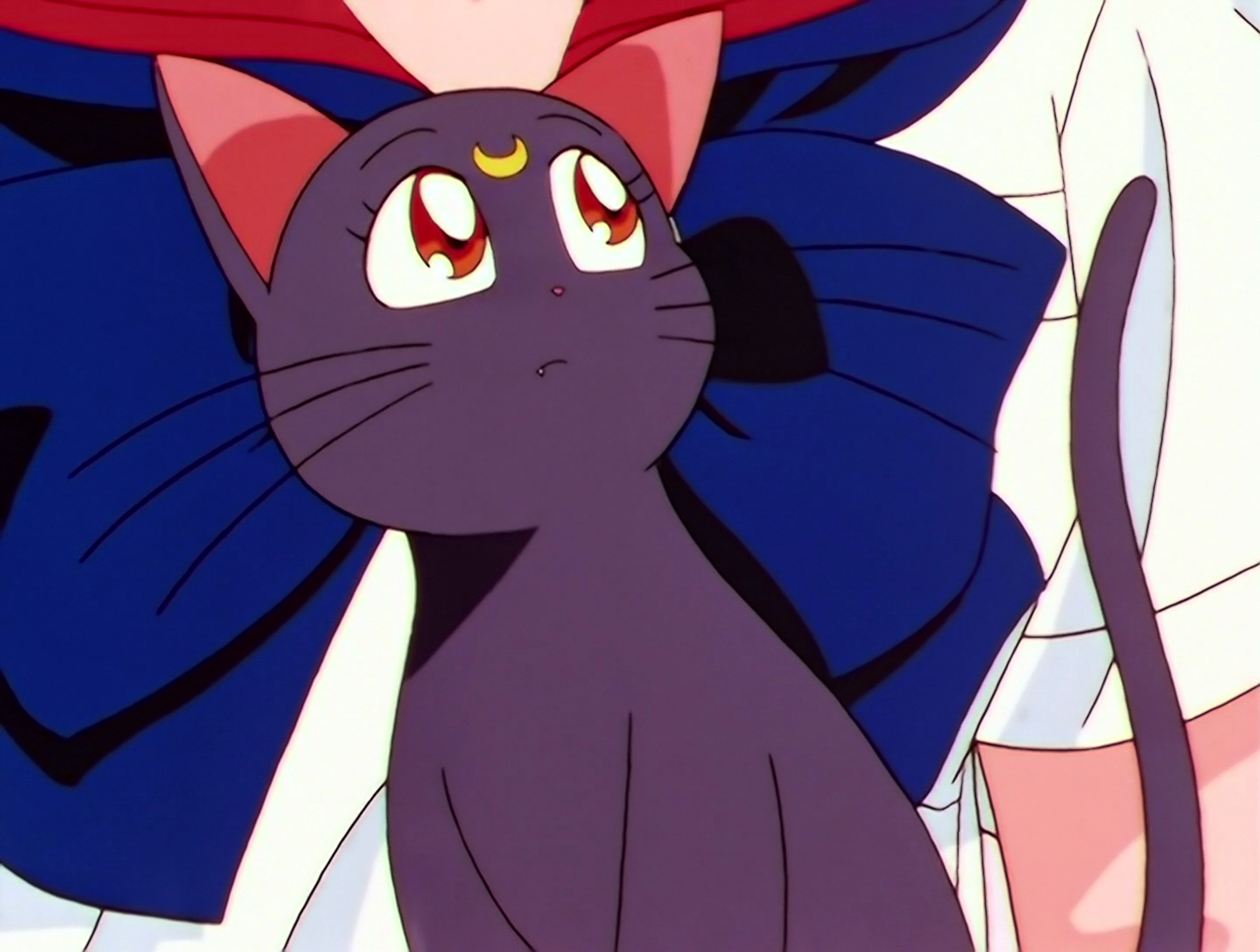 Screenshots: Sailor Stars Episode 186 - SailorSoapbox.com