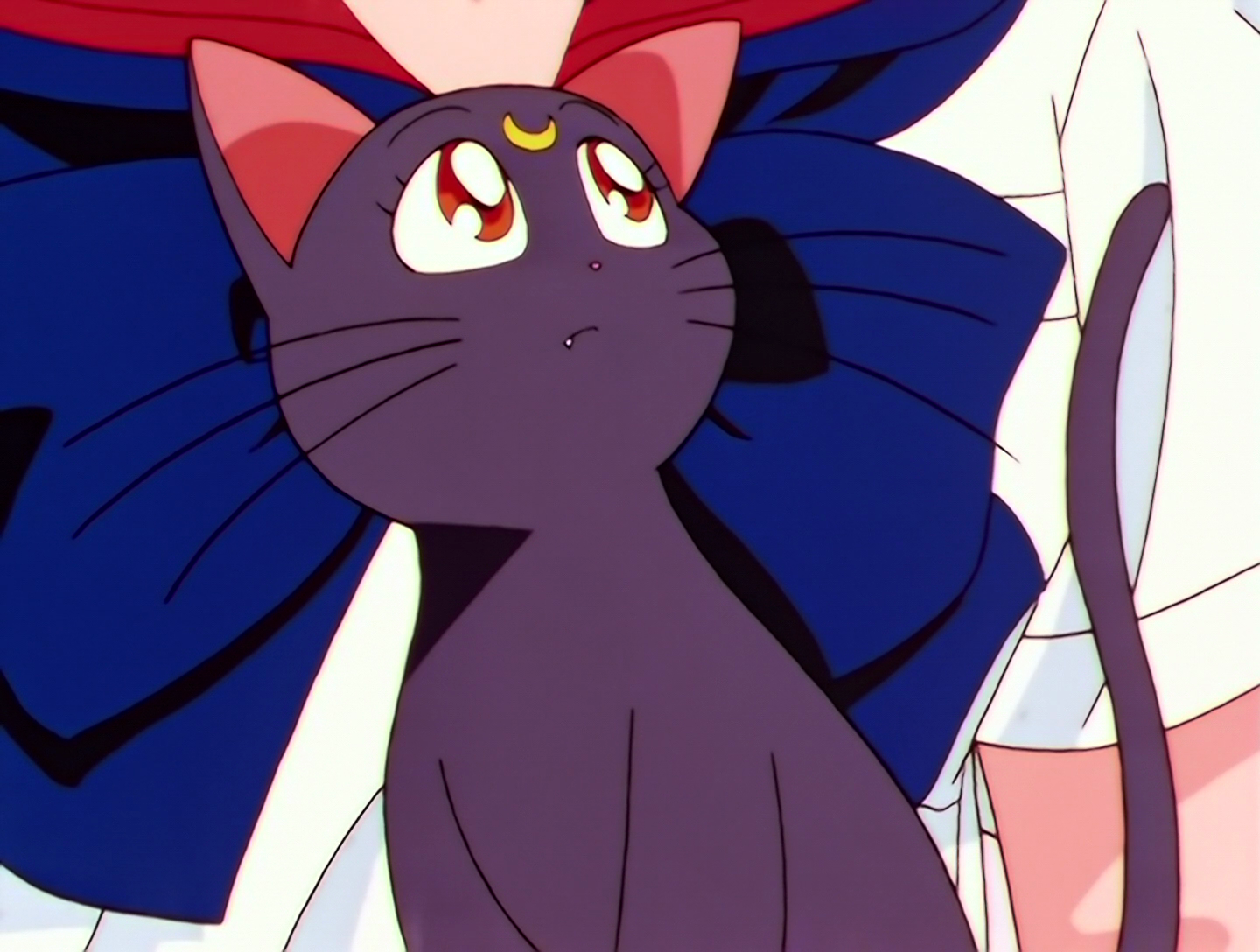 Screenshots: Sailor Stars Episode 186 - SailorSoapbox.com