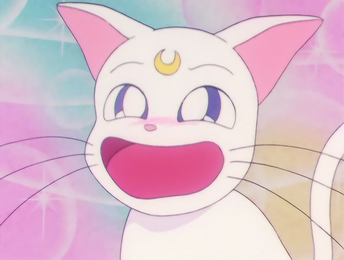 Screenshots: Sailor Stars Episode 192 - SailorSoapbox.com