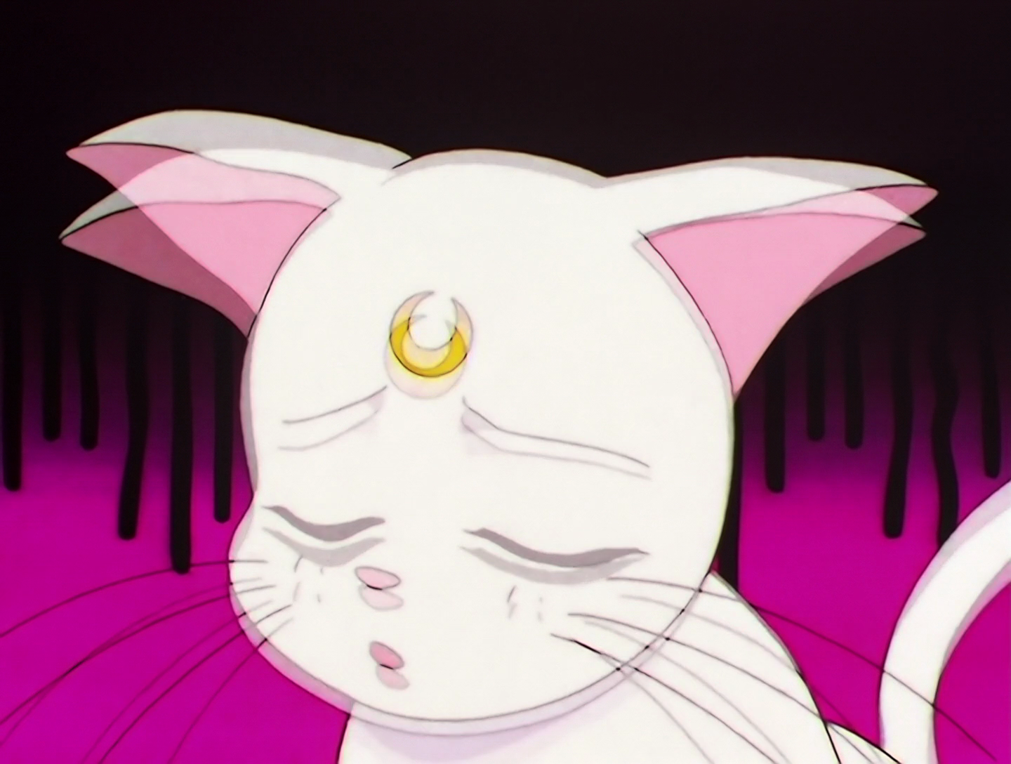 Screenshots: Sailor Stars Episode 192 - SailorSoapbox.com