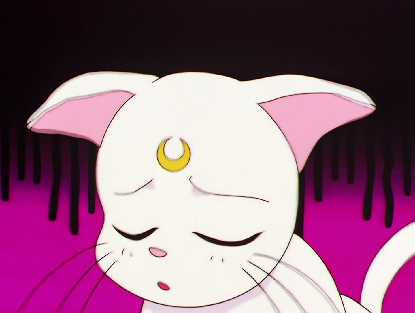 Screenshots: Sailor Stars Episode 192 - SailorSoapbox.com