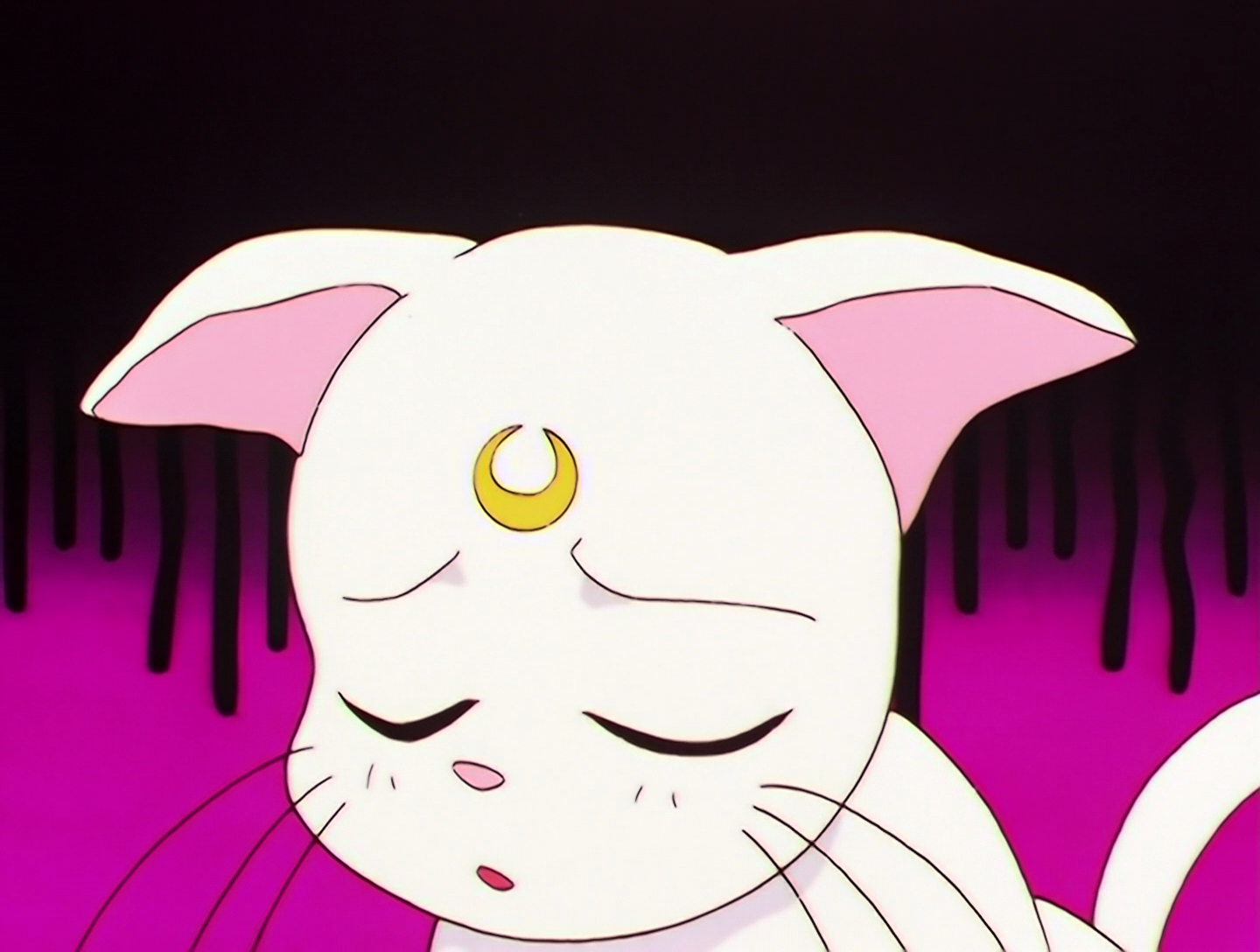 Screenshots: Sailor Stars Episode 192 - SailorSoapbox.com