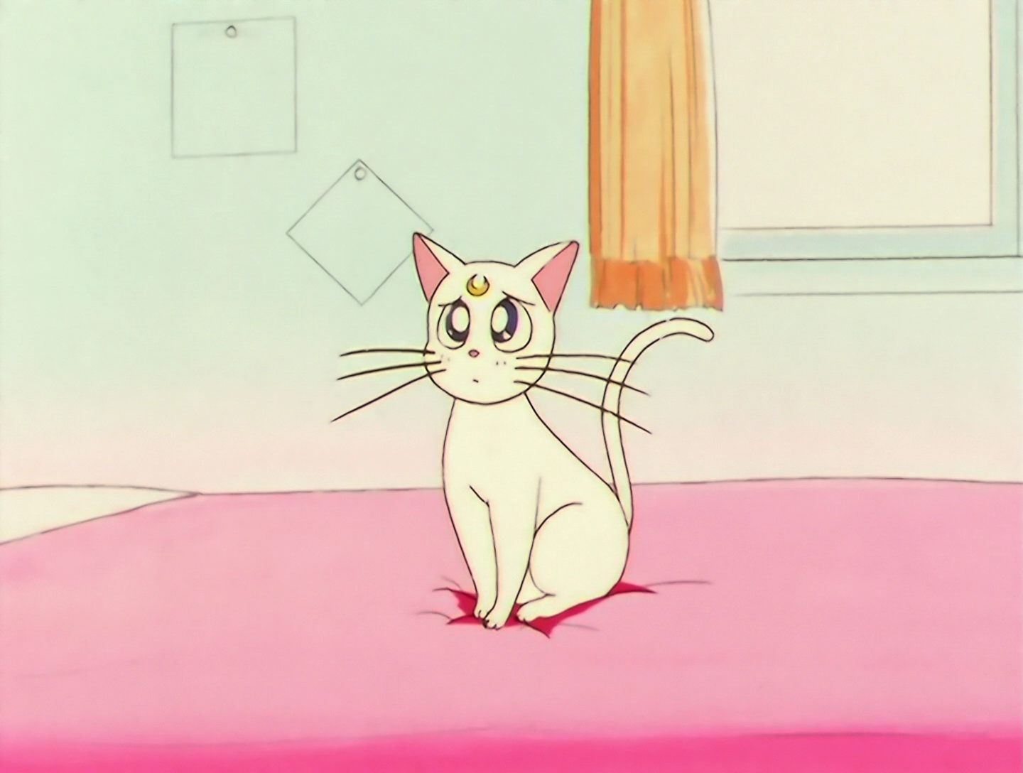 Screenshots: Sailor Stars Episode 192 - SailorSoapbox.com